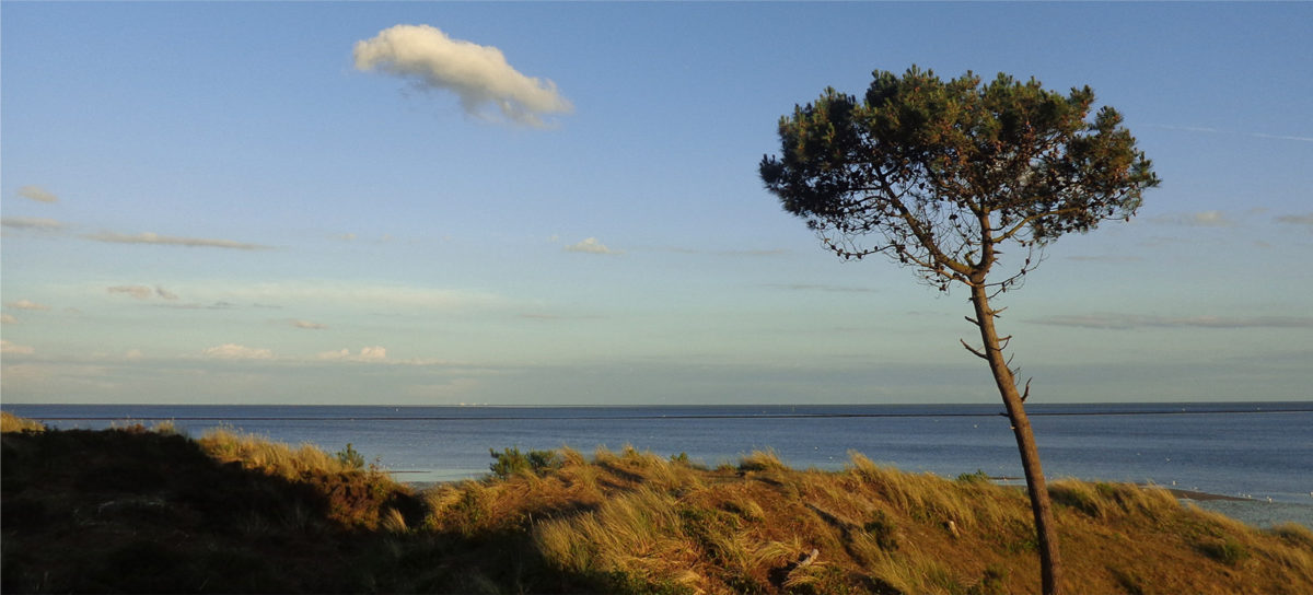 Home EN – Elements of Life